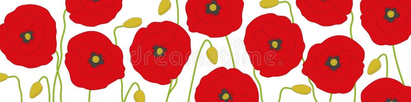 Summer Poppy Flowers Banner Stock Vector - Illustration of bouquet ...
