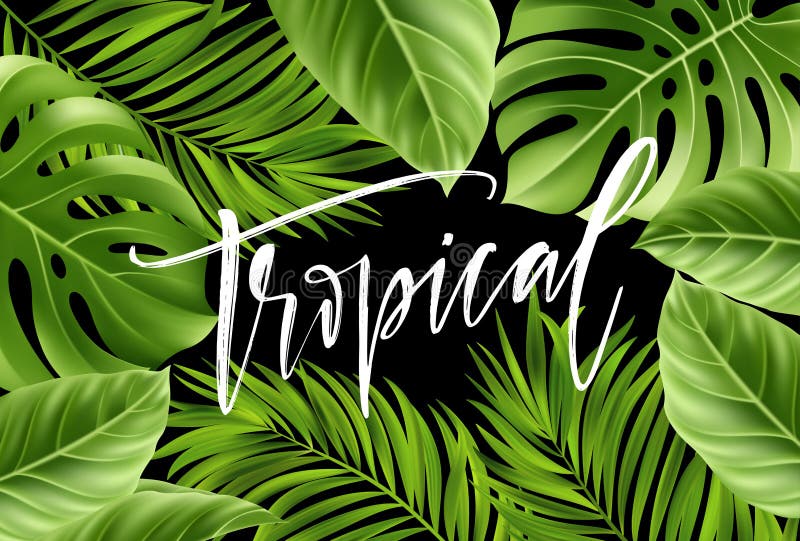 Summer Poster with Tropical Palm Leaf and Handwriting Lettering. Vector ...