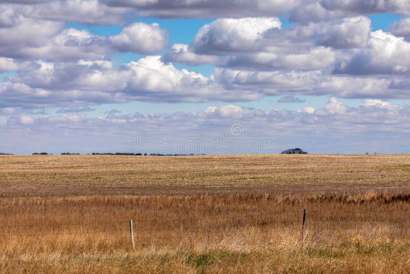 Summer in the Prairie of Canada Stock Photo - Image of sunlight ...