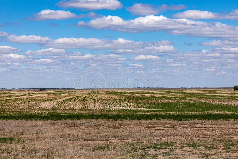 Summer in the Prairie of Canada Stock Photo - Image of nature, light ...
