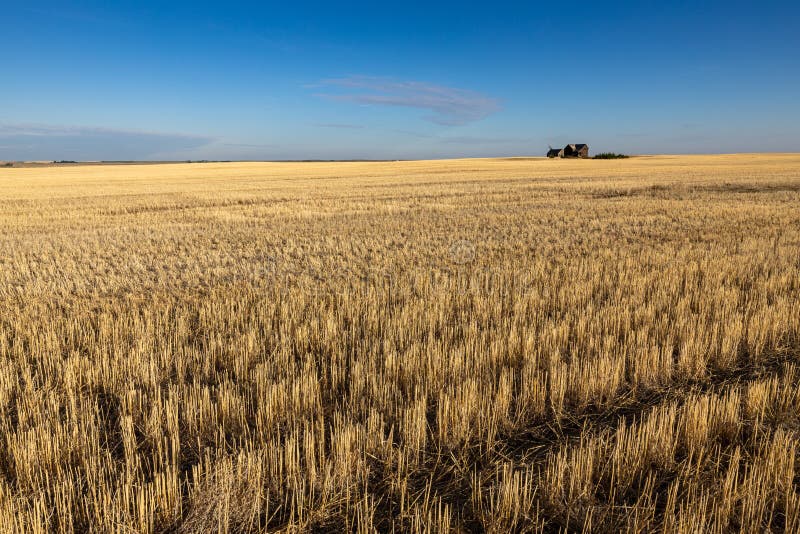 Summer in the Prairie of Canada Stock Photo - Image of thunderstorm ...