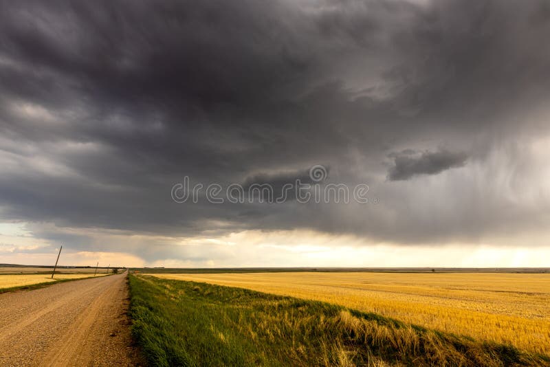 Summer in the Prairie of Canada Stock Photo - Image of scenic ...