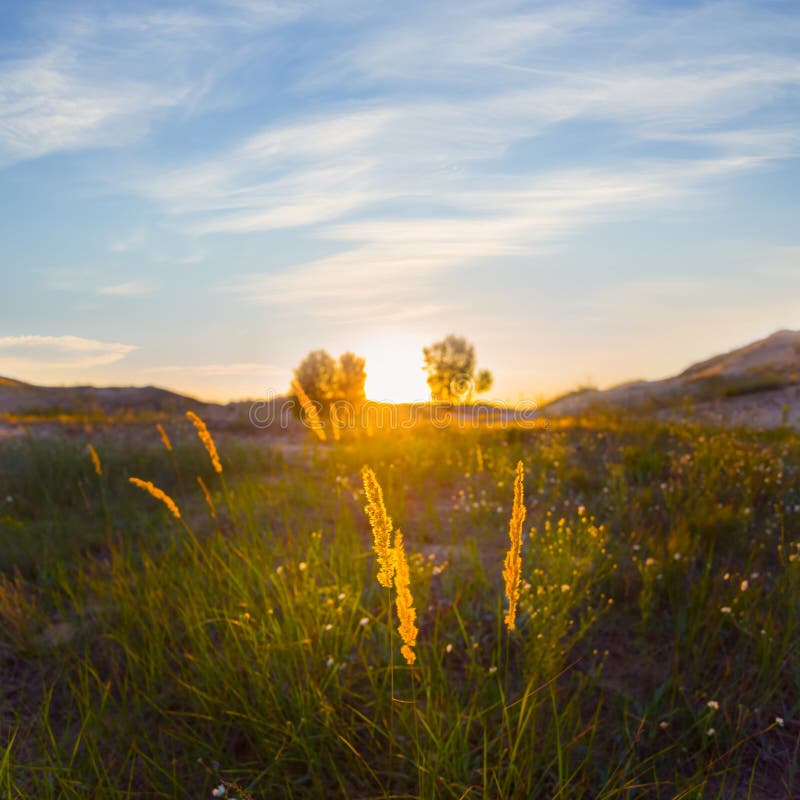 Summer Prairie at the Dramatic Sunset Stock Image - Image of season ...