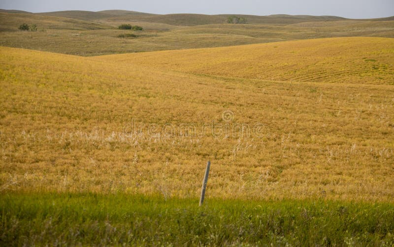 Summer Prairie Scene stock photo. Image of agriculture - 124116570