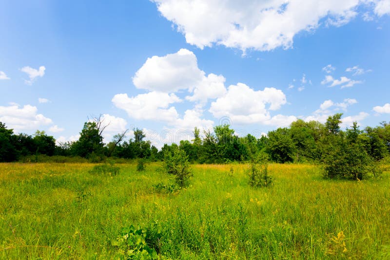 Summer Prairie Under a Cloudy Sky Stock Photo - Image of prairie, scene ...