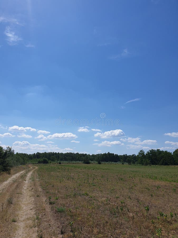 The Puszta stock photo. Image of hortobaiexcl, puszta - 62160902