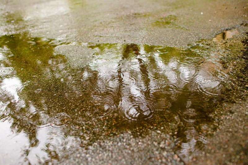 Summer Rain. Falling Rain. Raindrops. Puddles with Bubbles on the ...