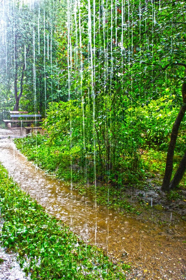 Summer Rain stock image. Image of downpour, drop, blot - 40840127