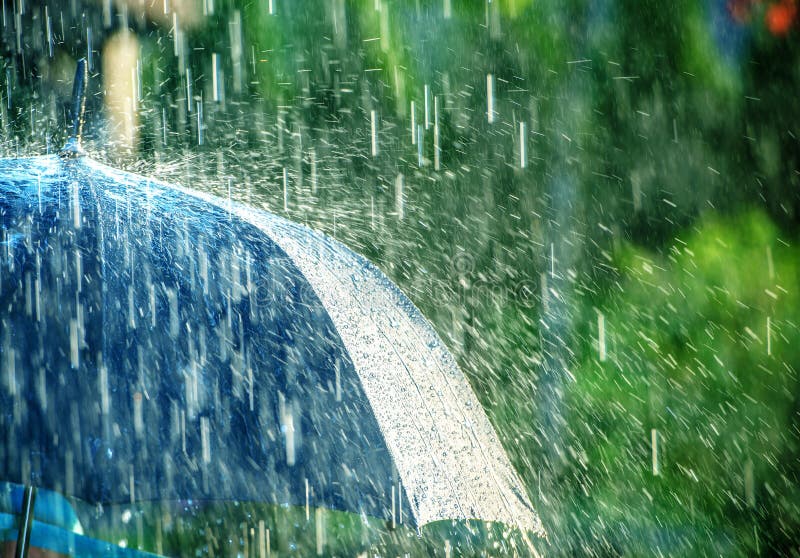Summer Rain Storm stock image. Image of umbrella, summer - 72559511