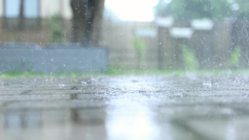 Rain Fall Drops and Splashes Hit the Pavement Outdoor. Close-up View ...