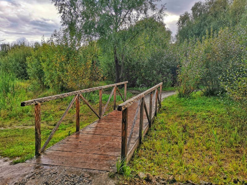 Summer Rainy Day. Bridge in the Park Stock Photo - Image of agriculture ...