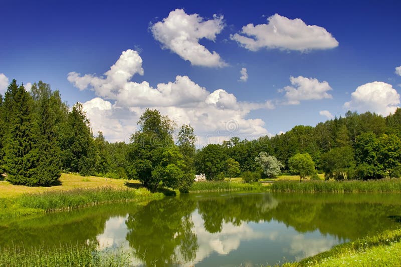 Summer reflection stock photo. Image of beauty, scene - 3128758