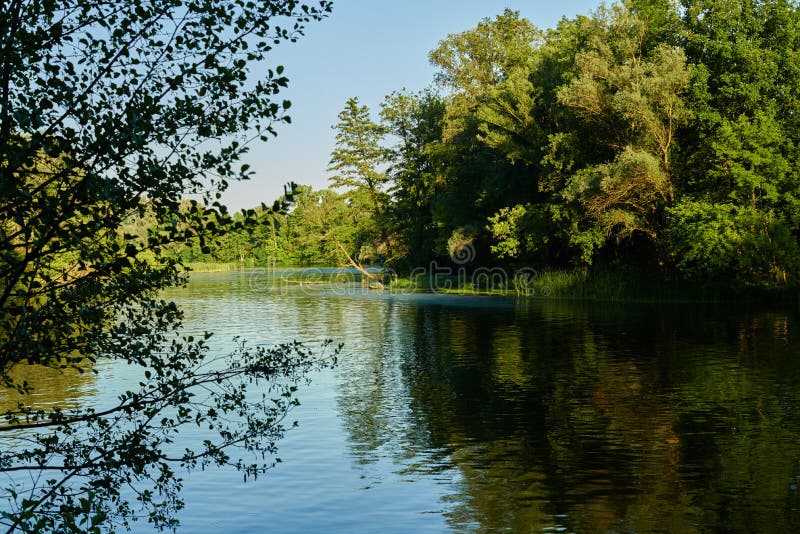 Summer Reflections in River Stock Photo - Image of blue, river: 56826006