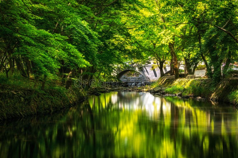 Summer reflections stock image. Image of landscape, peaceful - 42385363