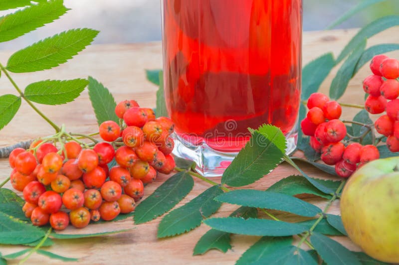 Summer Refreshing Drink, Berry Rowan with Apple. Stock Image - Image of ...