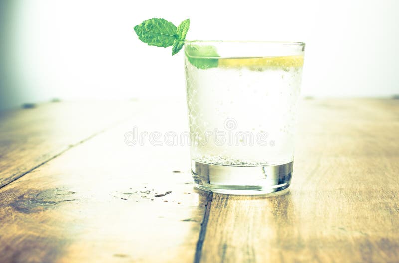 Summer Refreshment Drinks. Citrus Lemonade with Mint Stock Photo ...