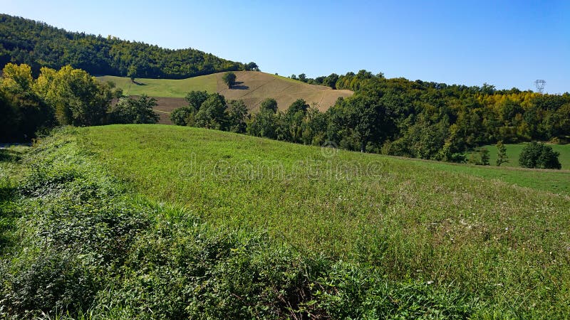 Field landscape stock photo. Image of summer, remote - 127518056