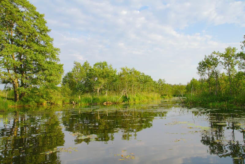 Summer river stock image. Image of rush, cloud, northwest - 16740131
