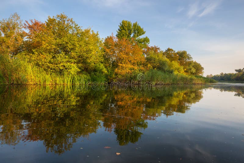 Summer river stock image. Image of season, landscapes - 239007363