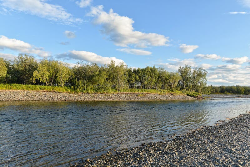 Summer river landscape stock image. Image of beauty - 202280153