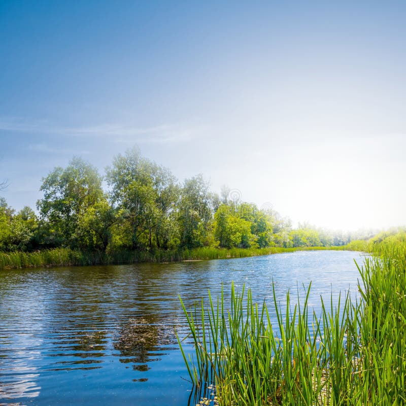 Summer river scene stock image. Image of outdoor, season - 53134173