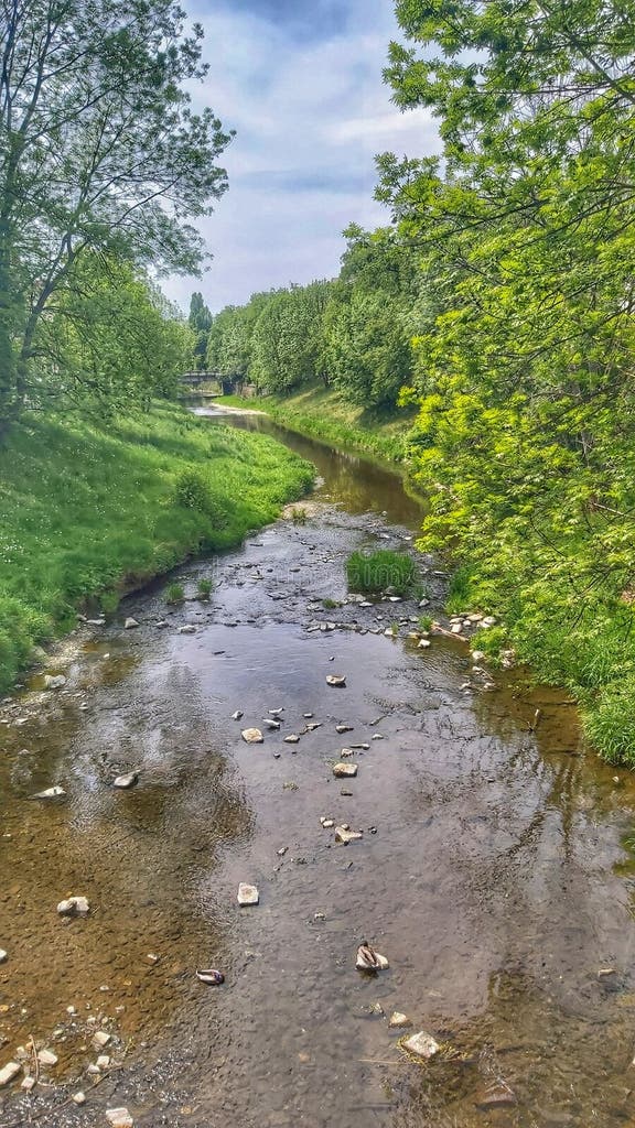 Summer Riverside View from Olomouc Stock Image - Image of pond, wetland ...