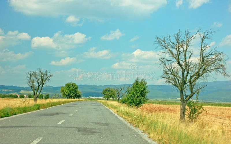 Summer road stock photo. Image of relax, green, clouded - 10625792