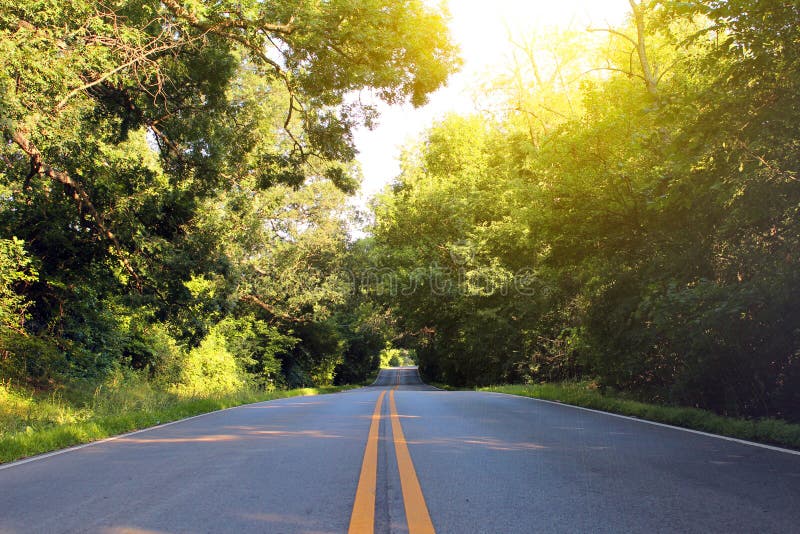 Summer road stock photo. Image of light, drive, colour - 20371702