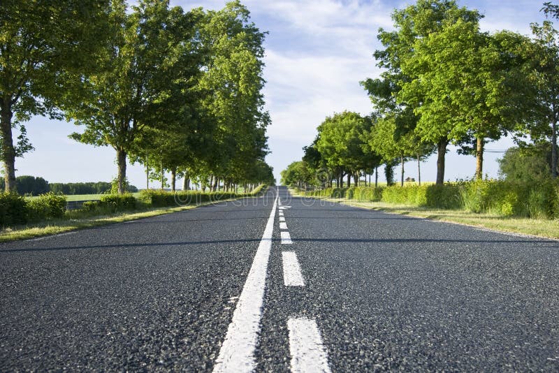 Summer Road stock photo. Image of asphalt, nature, allee - 25454254