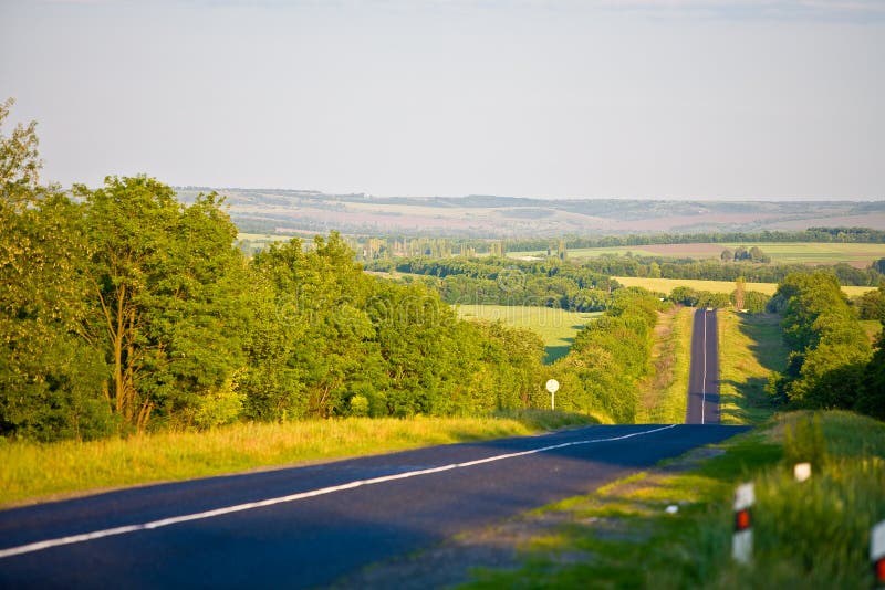 Summer road stock image. Image of nature, park, tree, road - 4861477