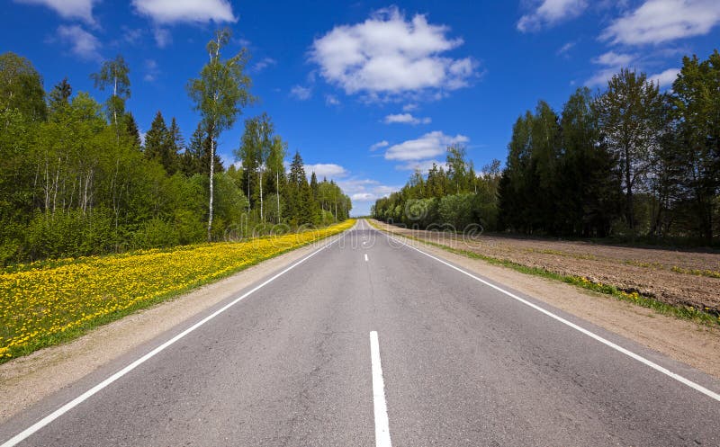 Summer road stock photo. Image of distant, green, nature - 54896984