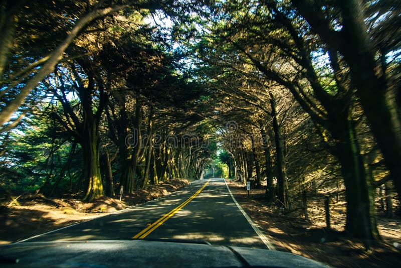 Summer Road through the Forest Stock Image - Image of asphalt, country ...