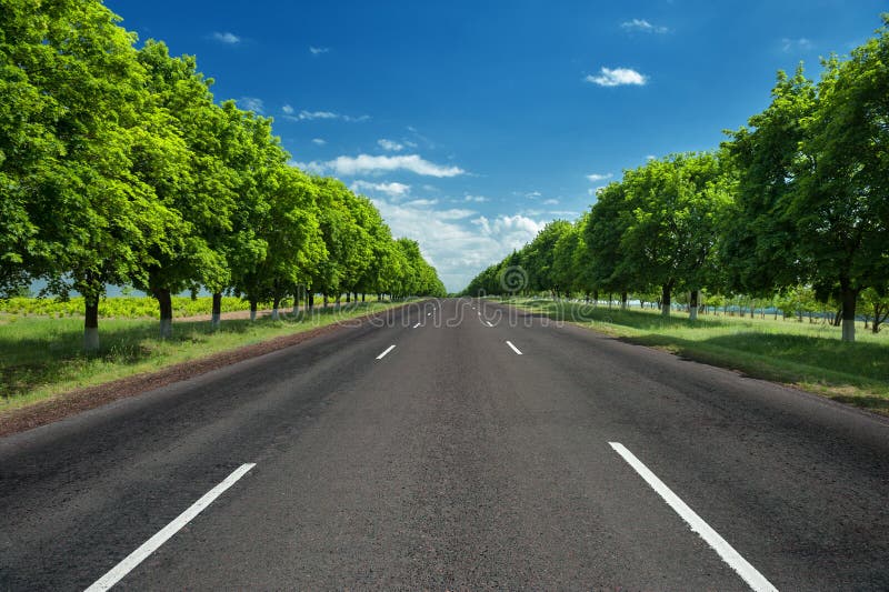 Summer road landscape stock photo. Image of country, green - 31305304