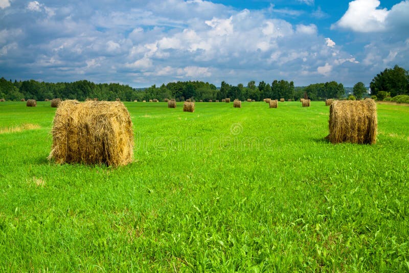 Summer rural landscape stock image. Image of farm, fall - 32582529