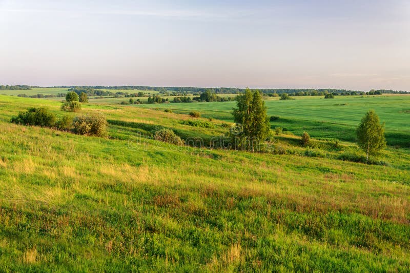 Summer Rural Landscape at Sunset Stock Image - Image of peaceful ...