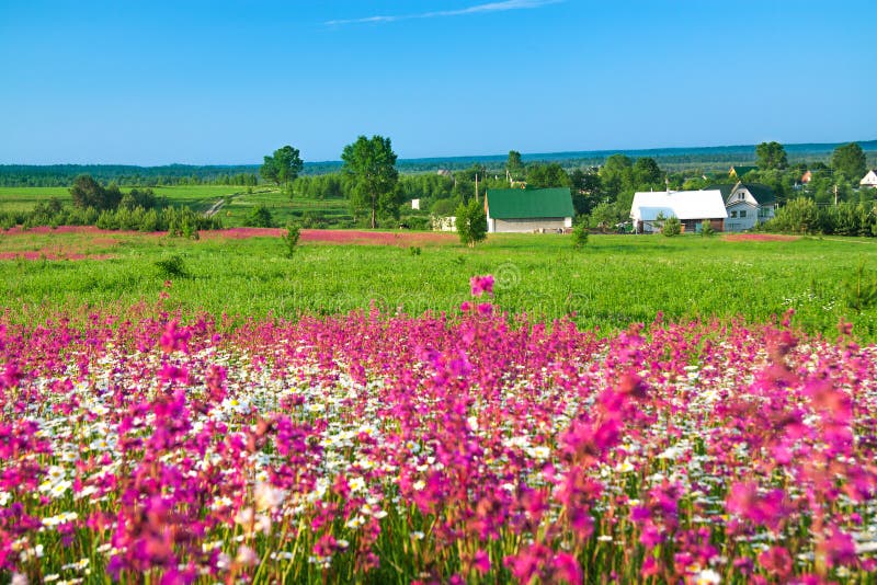 Summer Rural Landscape with Storm Sky Country Road Away Trees an Stock ...