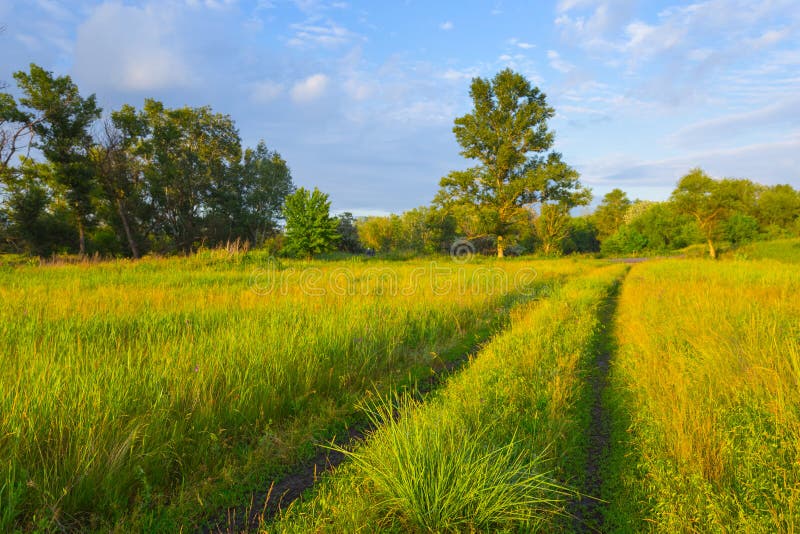 Summer rural scene stock photo. Image of plain, celestial - 55866406