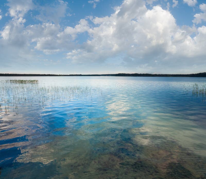 Summer rushy lake stock image. Image of horizon, reflect - 311376579