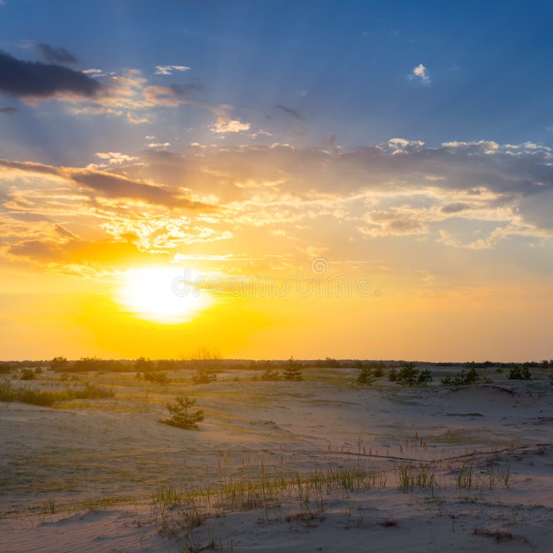 Sandy desert at the sunset stock image. Image of lifeless - 214503609