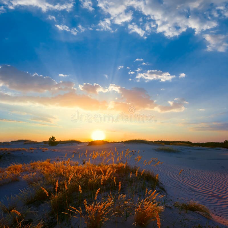 Hot Summer Sandy Desert Dune at the Sunset Stock Image - Image of sand ...