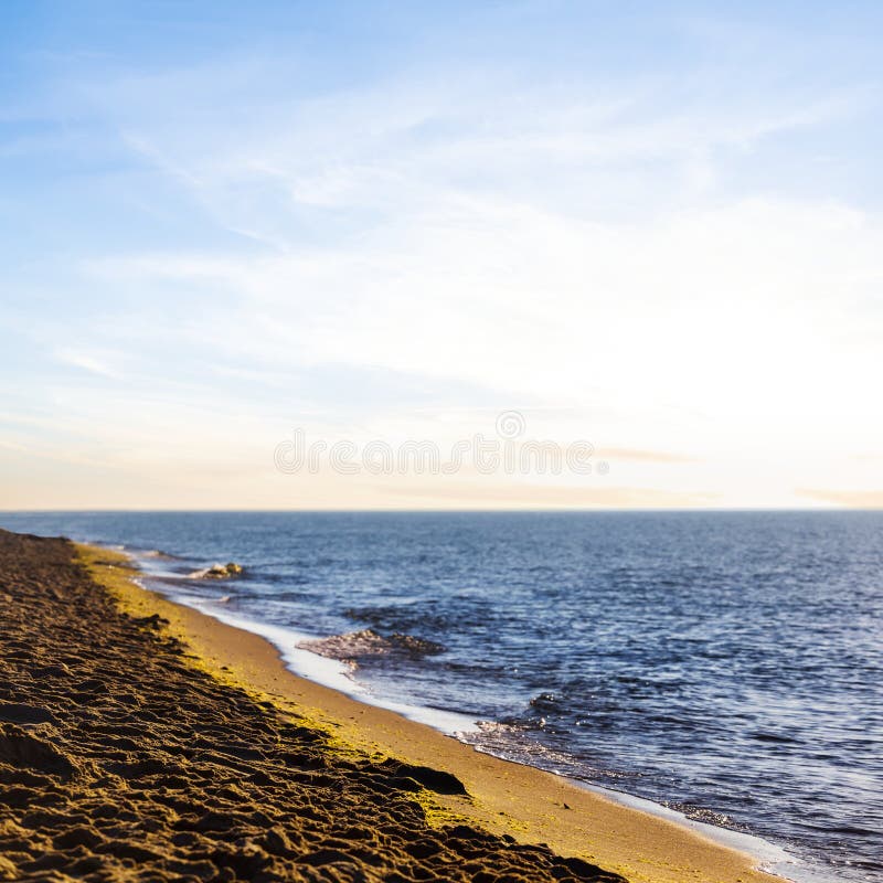 Sandy Sea Beach at the Early Morning Stock Image - Image of environment ...