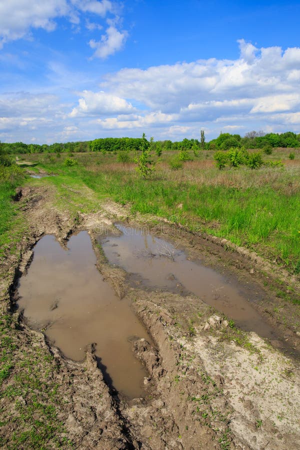 Summer Scene with Puddles in Dirt Road Stock Image - Image of forest ...