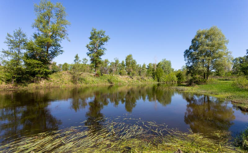 Summer scene on river stock photo. Image of scene, pond - 32369764
