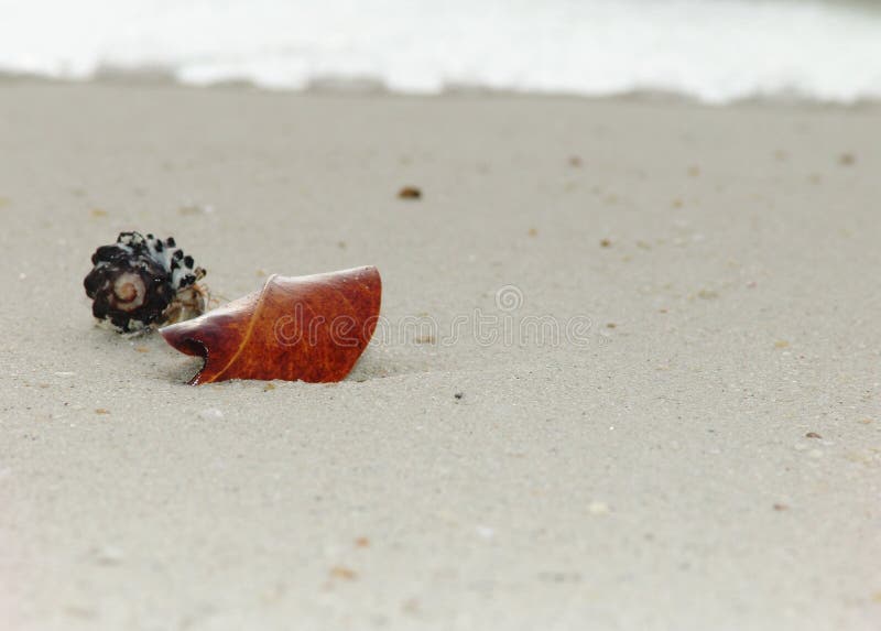 Summer sea at the beach stock image. Image of summer - 144573075