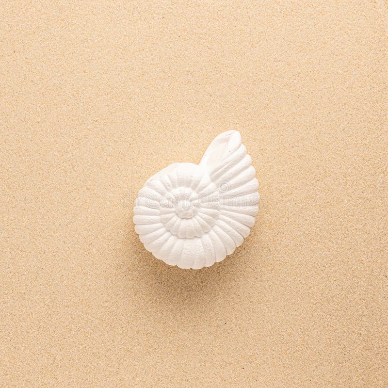 Summer Sea Concept. Ammonite or Snail Shell on Sand. Top View Stock ...