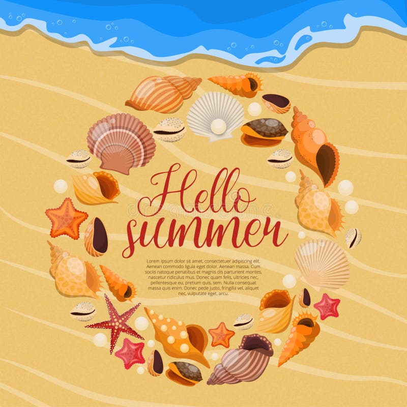 Summer Sea Shells Poster stock vector. Illustration of mollusk - 77073858