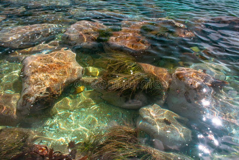 Seabed with Large Stones and Algae Stock Image - Image of coast, water ...