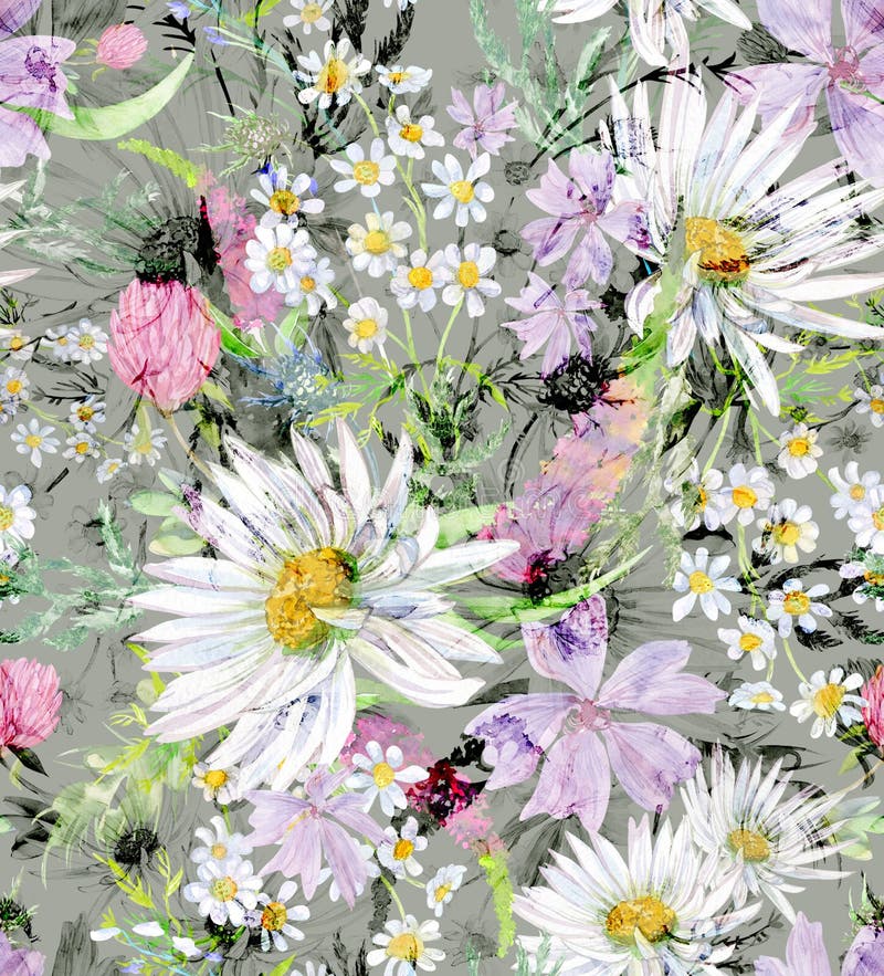 Summer Seamless Pattern with Daisy Clover Flowers Stock Illustration ...