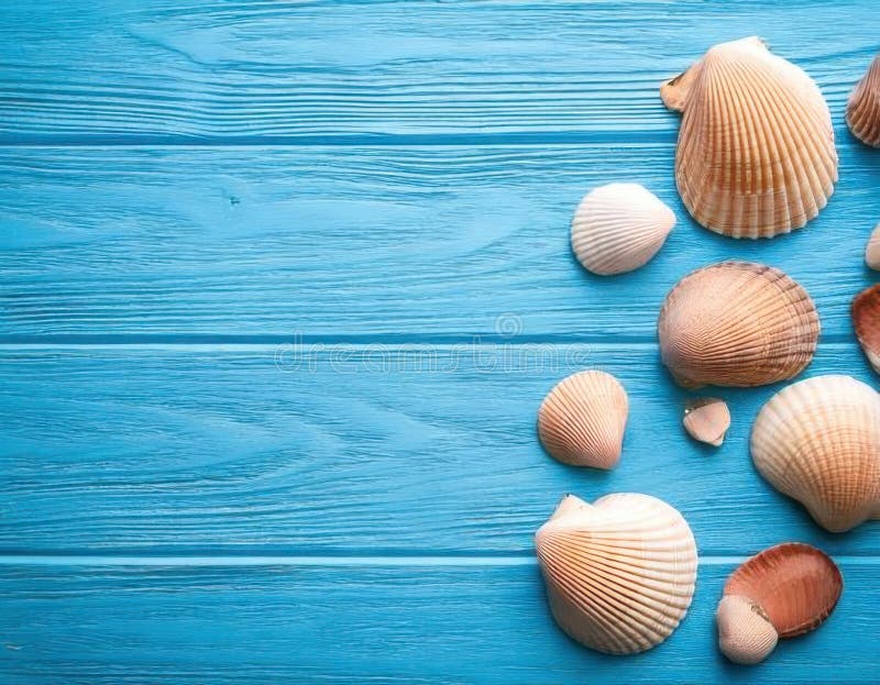 Summer Shells on Light Blue Wooden Banner Background Stock Illustration ...
