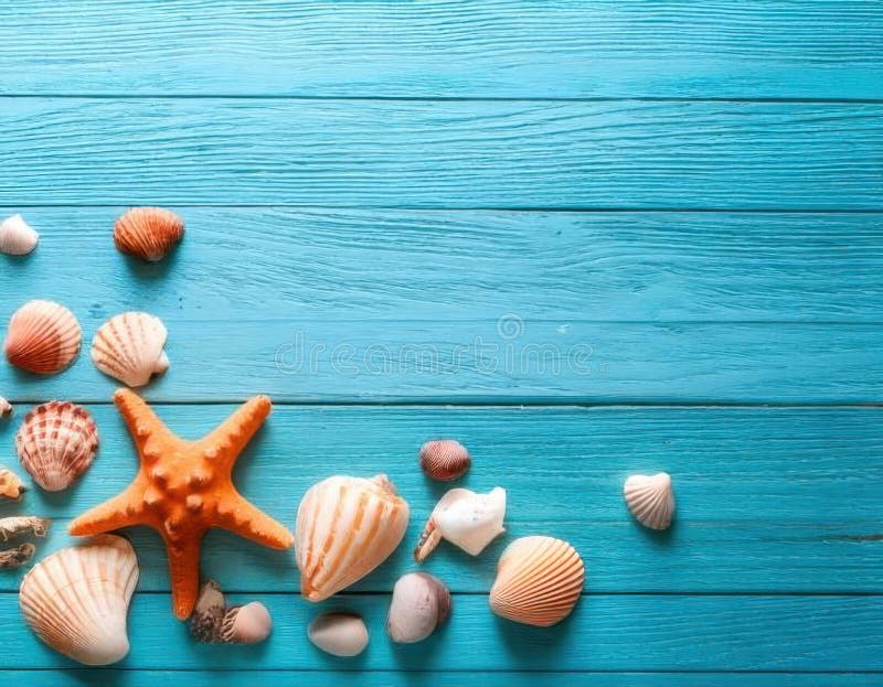 Summer Shells on Light Blue Wooden Banner Background Stock Illustration ...